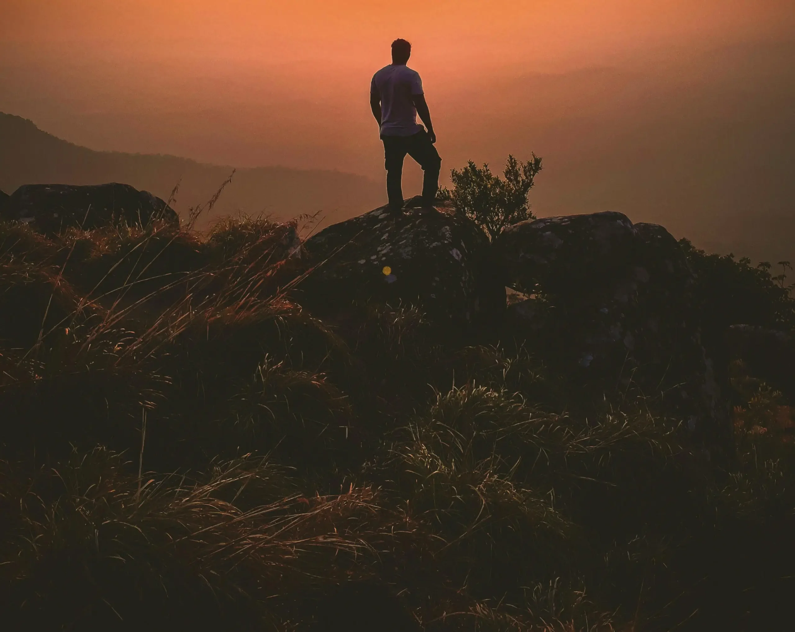 Humans in Recovery - Recovery Unplugged